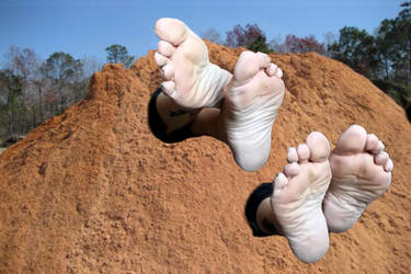 feetticklelover6 User Profile | DeviantArt