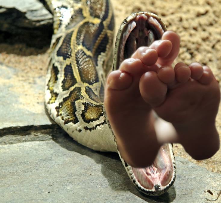 Anna's Snake Demise by MLGDoe on DeviantArt