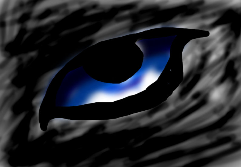 wolf eye. by nightantykillers on DeviantArt