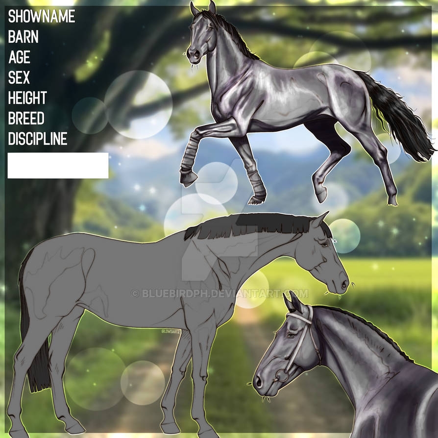 English Ref Base by BluebirdPH on DeviantArt