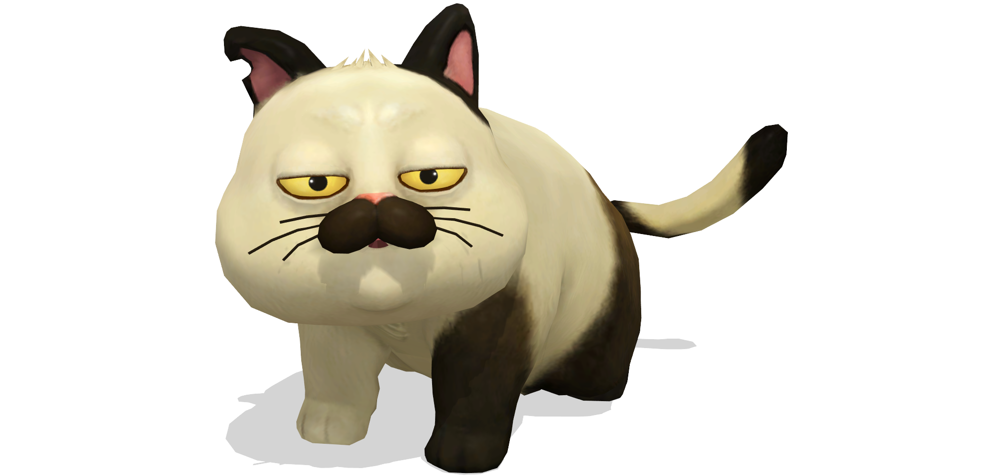 Giulia's Pet: Machiavelli The Cat DL by ShadowlesWOLF on DeviantArt