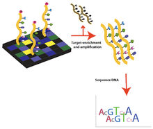 Whole Genome Sequencing by diagnosticmedgenome on DeviantArt