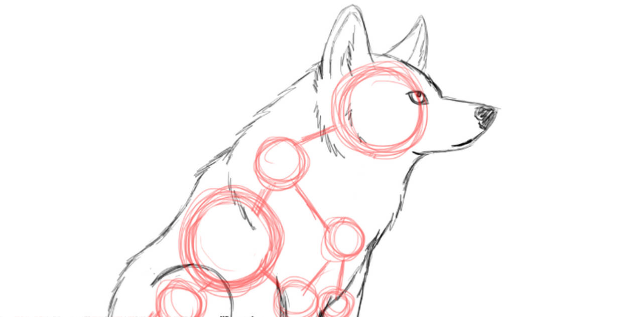 Wolf Sitting Posture by nabilove2000 on DeviantArt