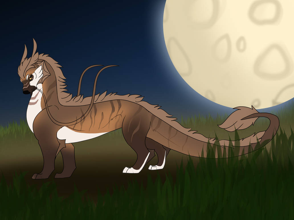 5 By Alpha Wolfeh On Deviantart