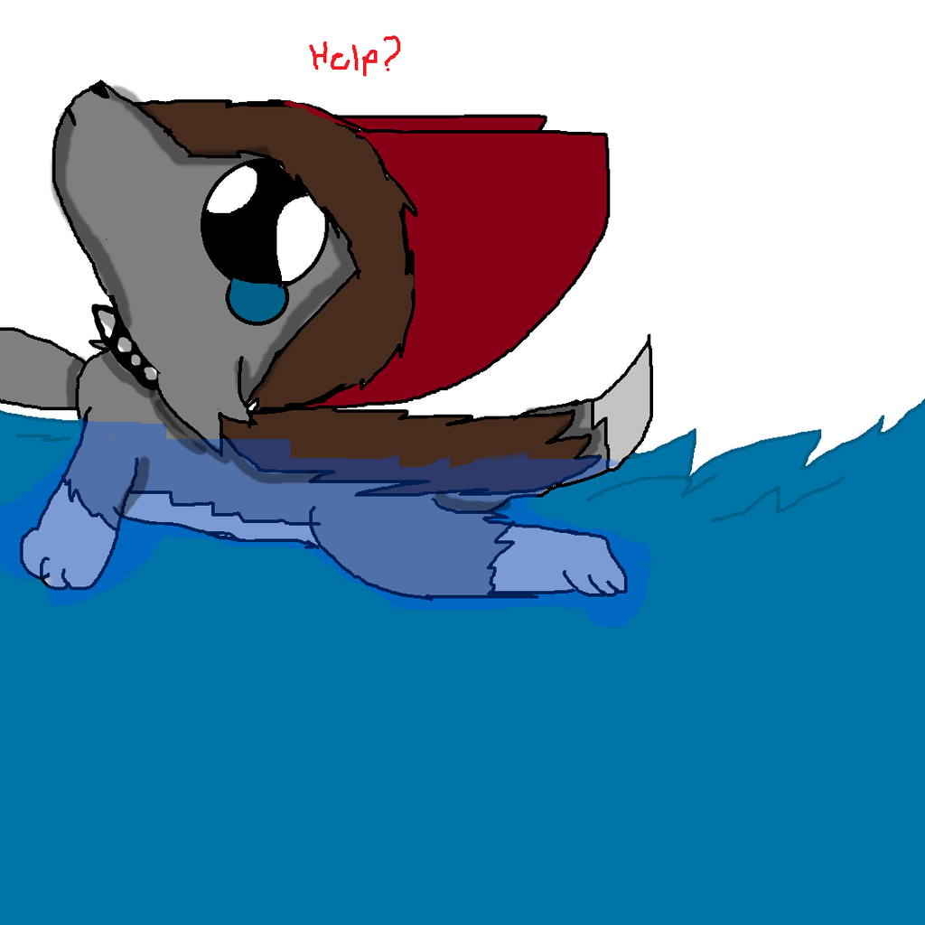 If u put Wolfie in a Pool by ButtonTheInkyBean on DeviantArt
