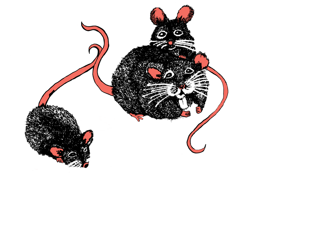 Three mice by megara14 on DeviantArt