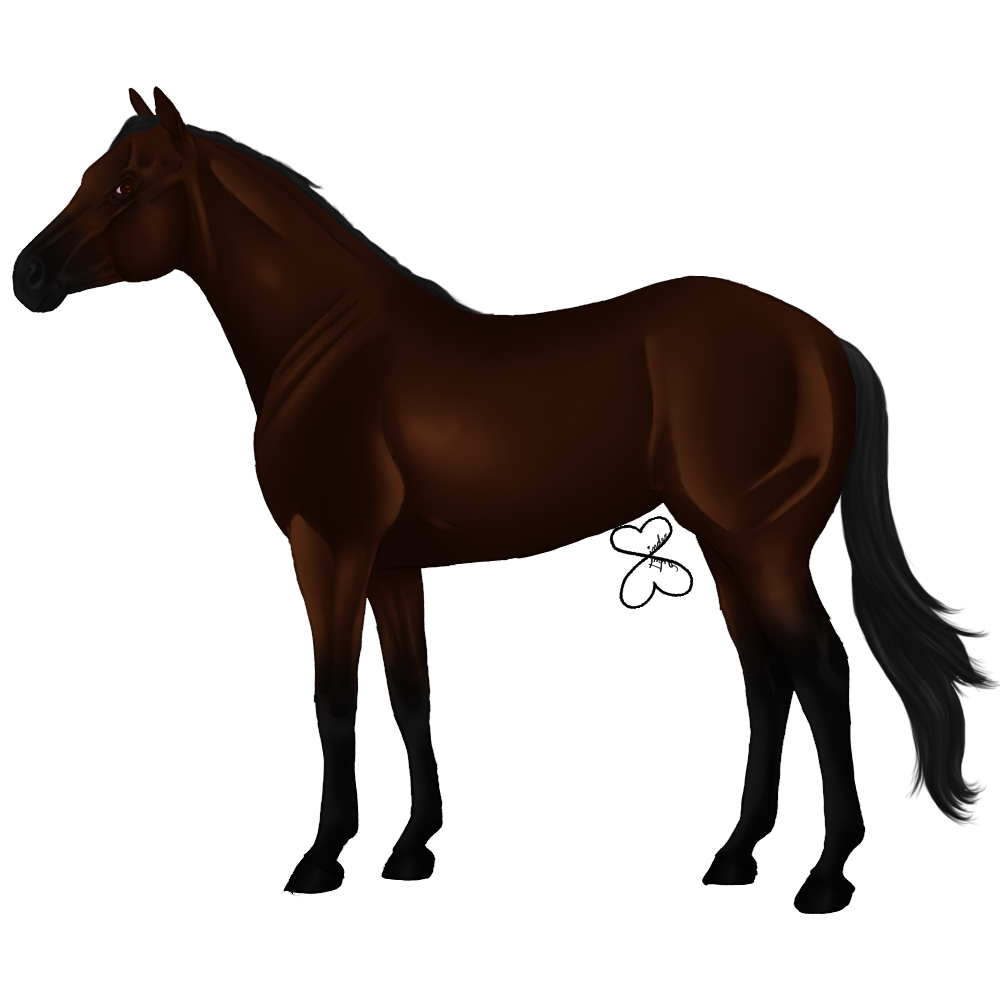 Horse Base by SinderStudio on DeviantArt