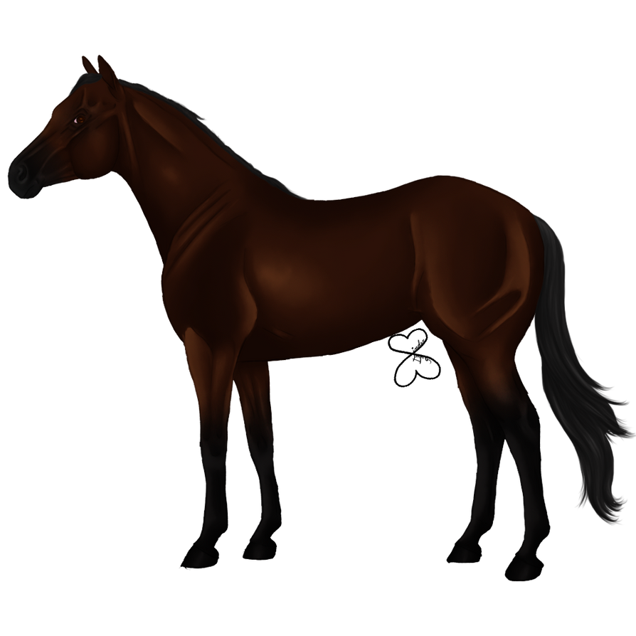 Horse Base by SinderStudio on DeviantArt