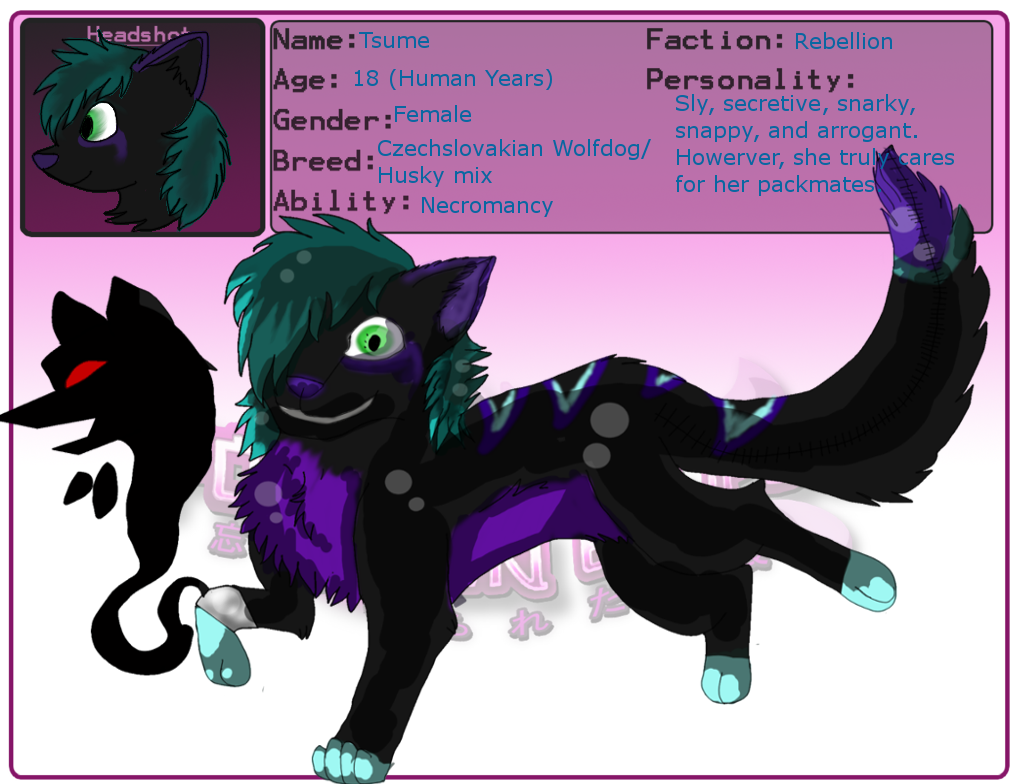 Tsume Reference II by Icefire11 on DeviantArt
