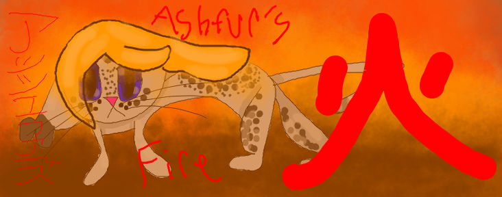 Ashfur's fire by Scarfeather2234 on DeviantArt