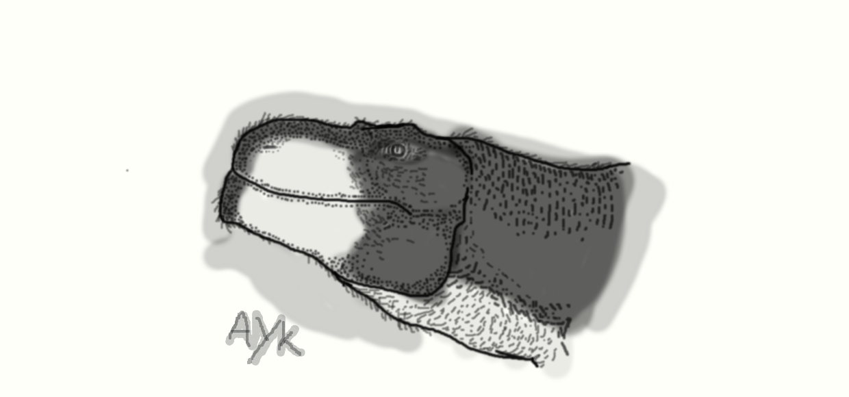 Dark rex by Aykwan on DeviantArt