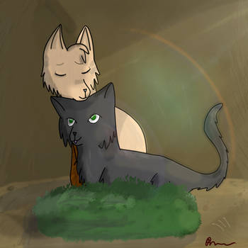 Explore the Best Finleap Art | DeviantArt