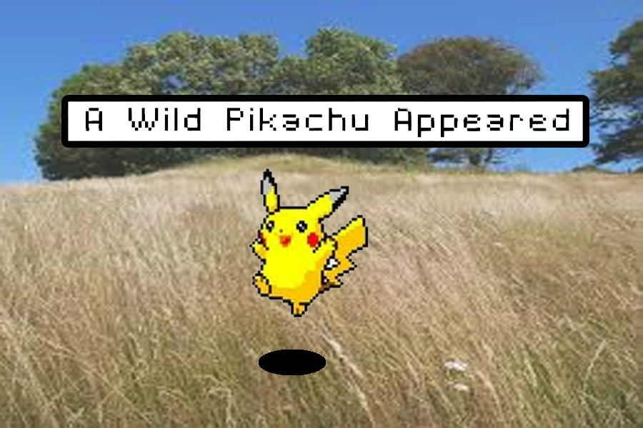 Wild Pikachu by Brodude8 on DeviantArt