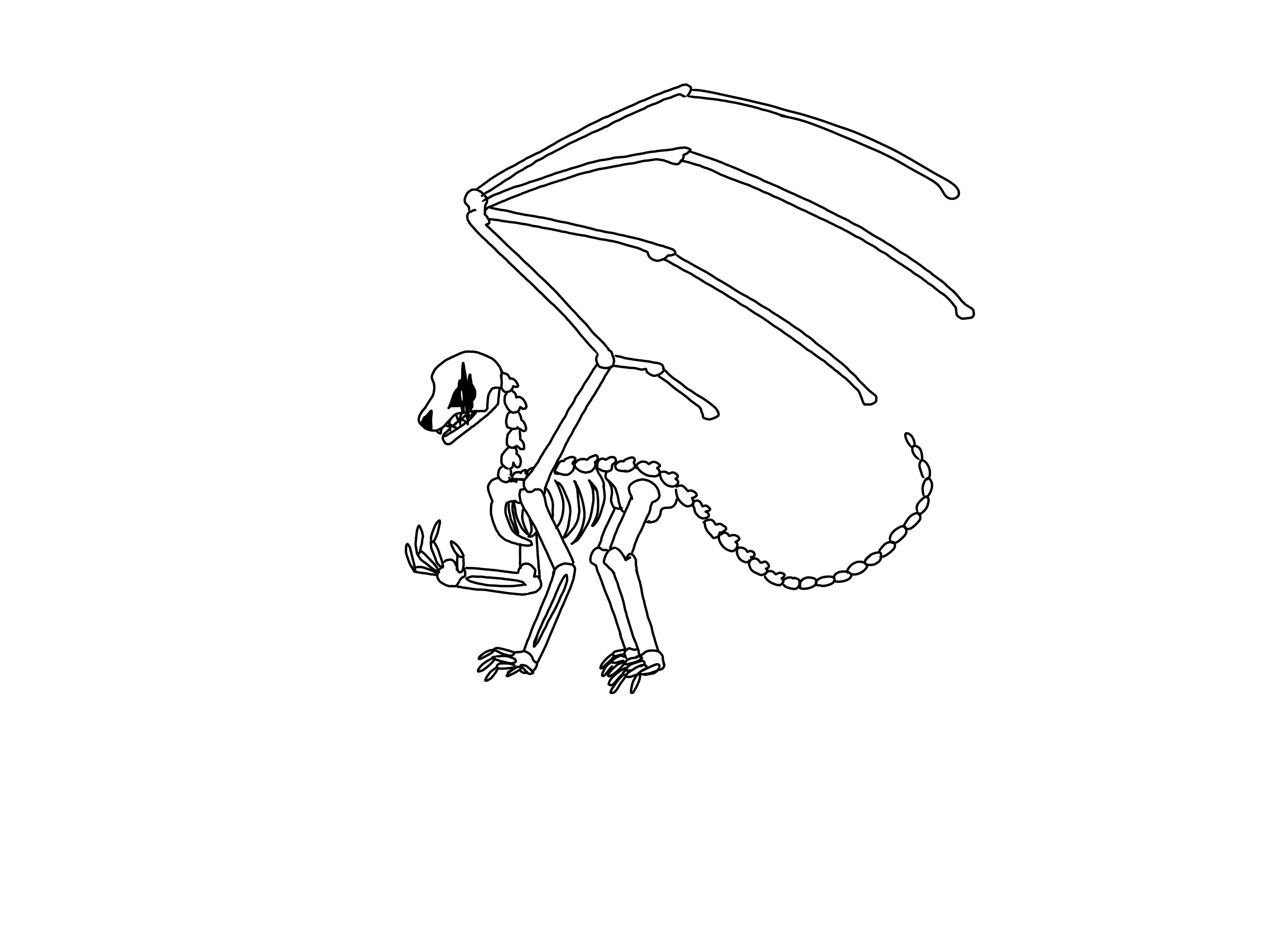 Skeleton base by PepperPug on DeviantArt