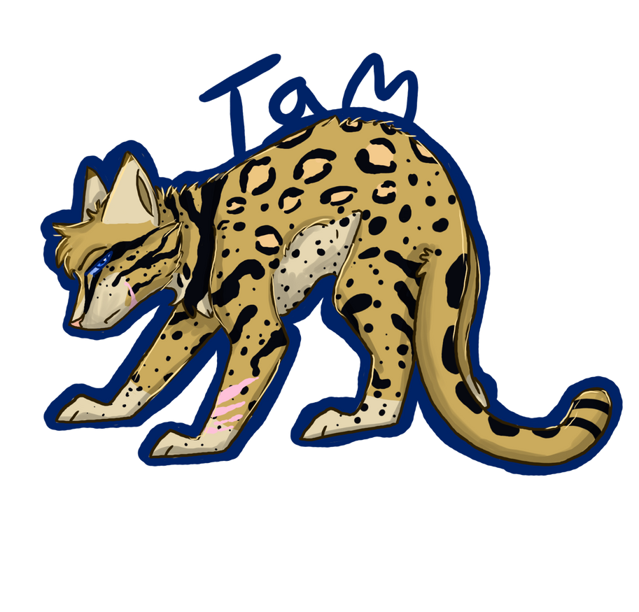 EBC: Art Trade - Tam by Astro-Atlas on DeviantArt