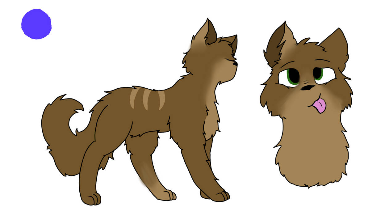 Eschenpfote/Ashpaw reference by Shugarbonnie on DeviantArt
