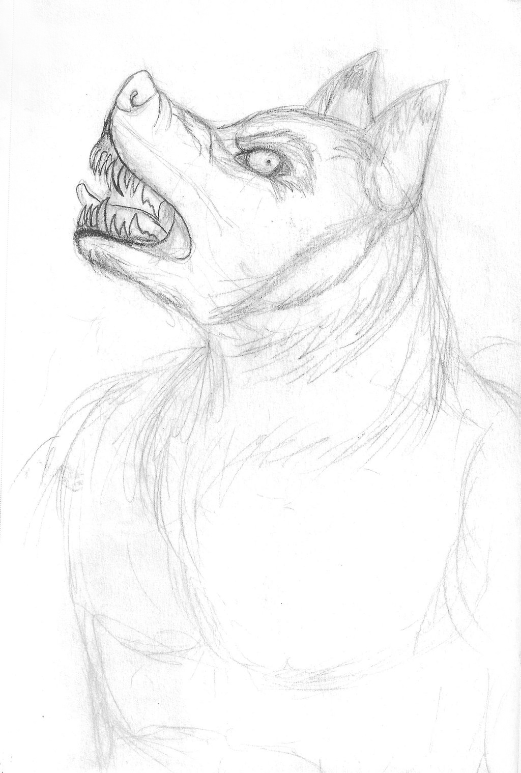 Toothy Troan by Dani-Claw on DeviantArt