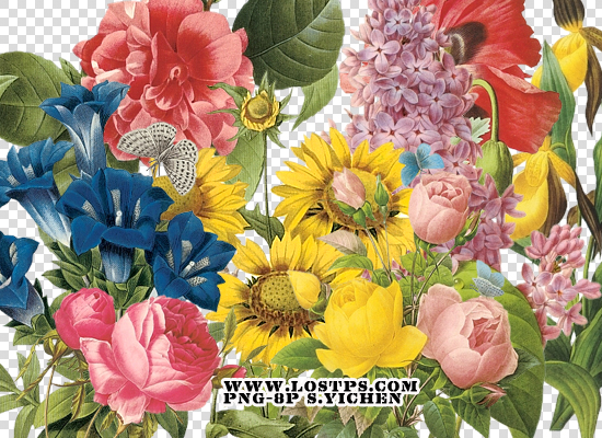 flowers1 by shuihai on DeviantArt