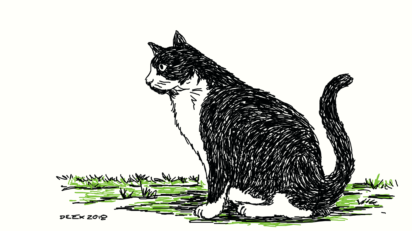 one cat by CapnDeek373 on DeviantArt
