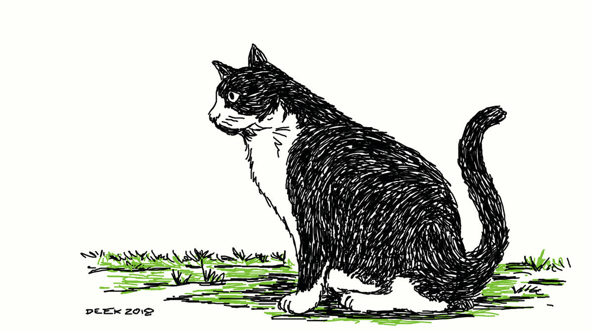 one cat by CapnDeek373 on DeviantArt