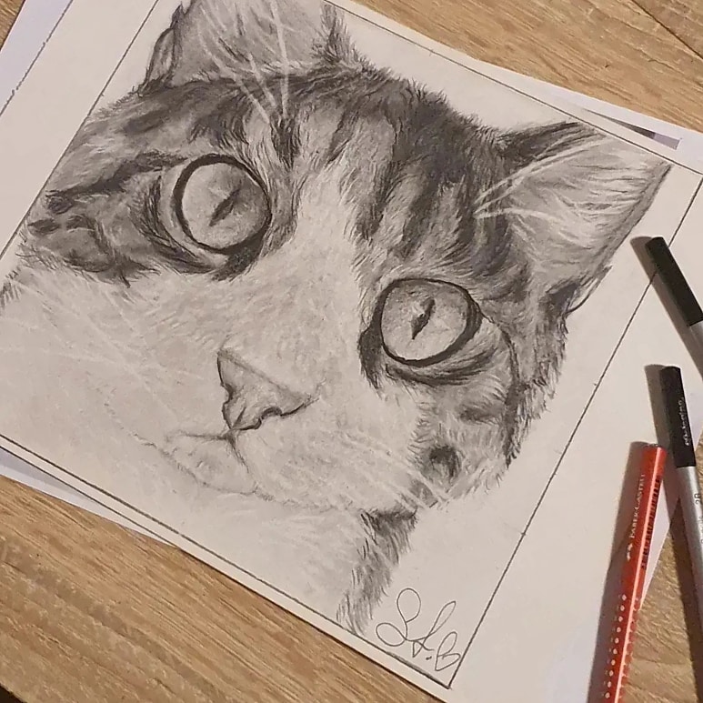 Img 20230210 085501 024 by DraWwihtSf on DeviantArt