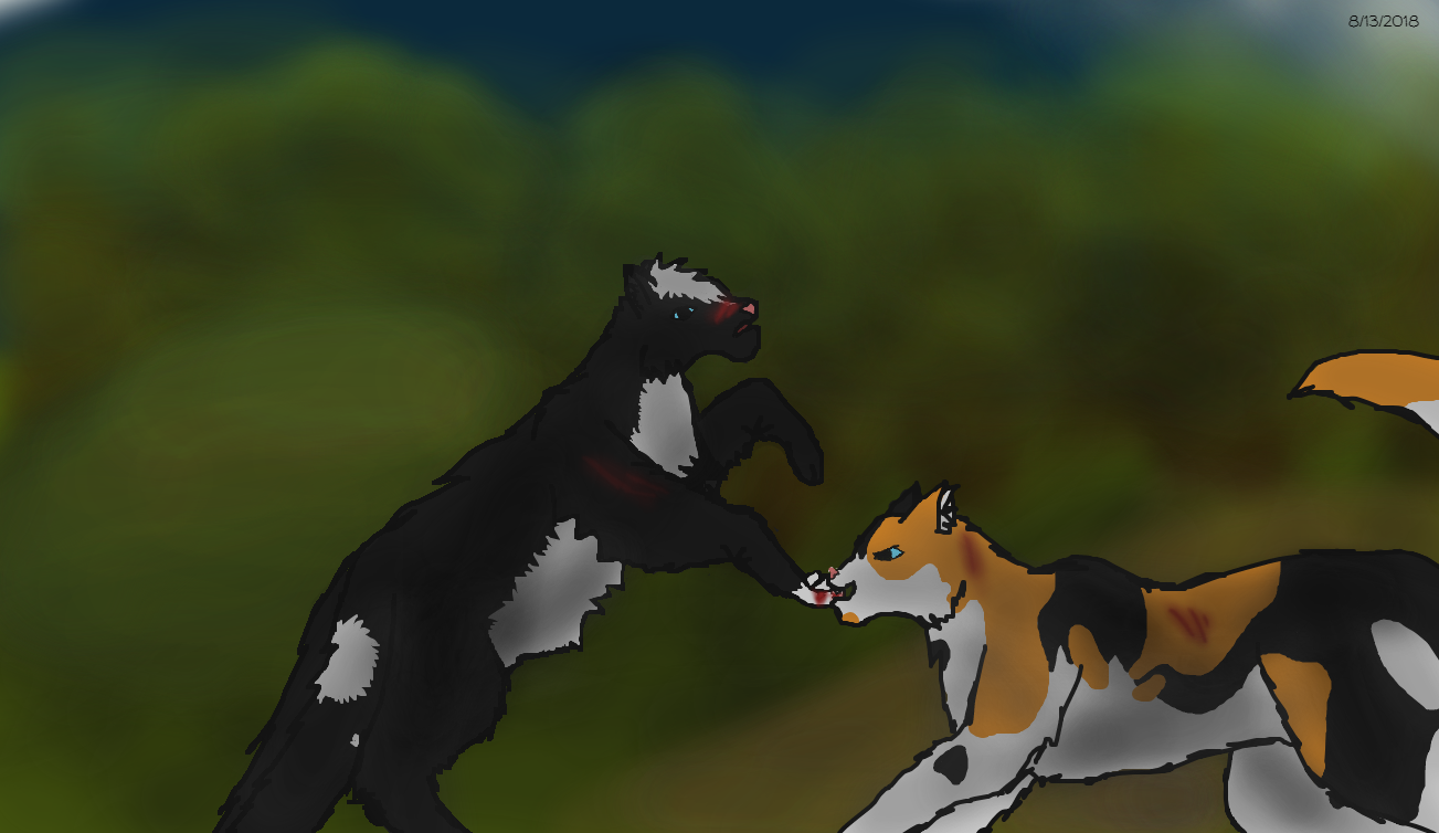 Cinderfang and Dapplepool by Greyriver0 on DeviantArt