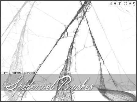 Spiderweb Brushes by poisondropstock on DeviantArt