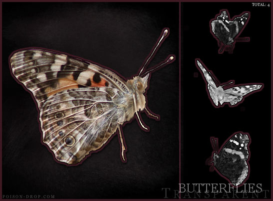 Transparent Butterfly Stock by poisondropstock on DeviantArt