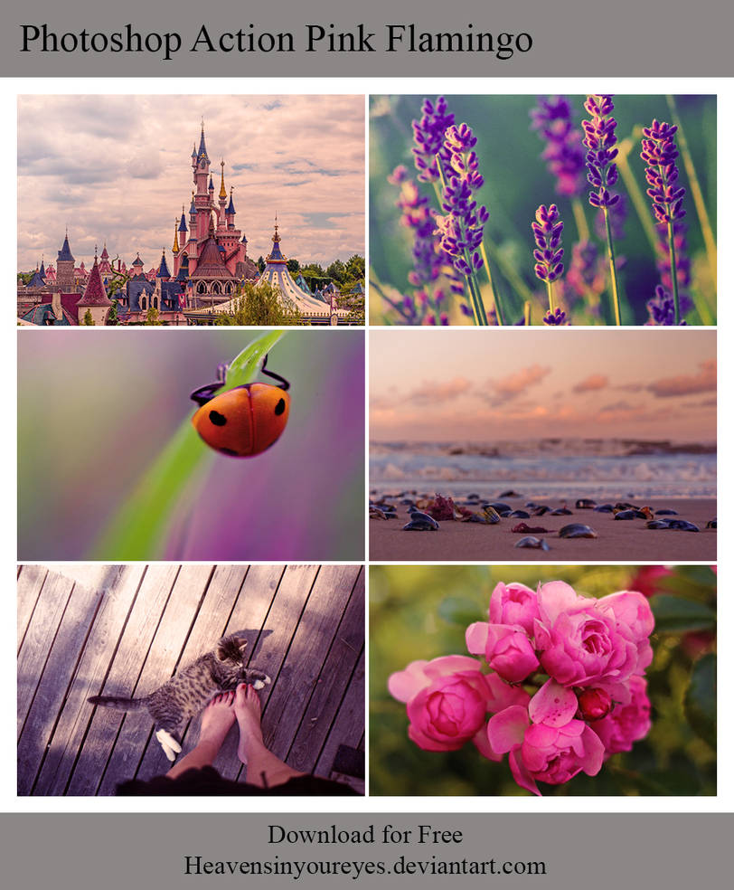 Photoshop Action Pink Flamingo (DOWNLOAD FOR FREE) by Heavensinyoureyes ...