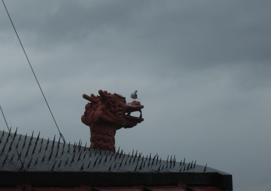 Dragon and Seagull by flety007 on DeviantArt