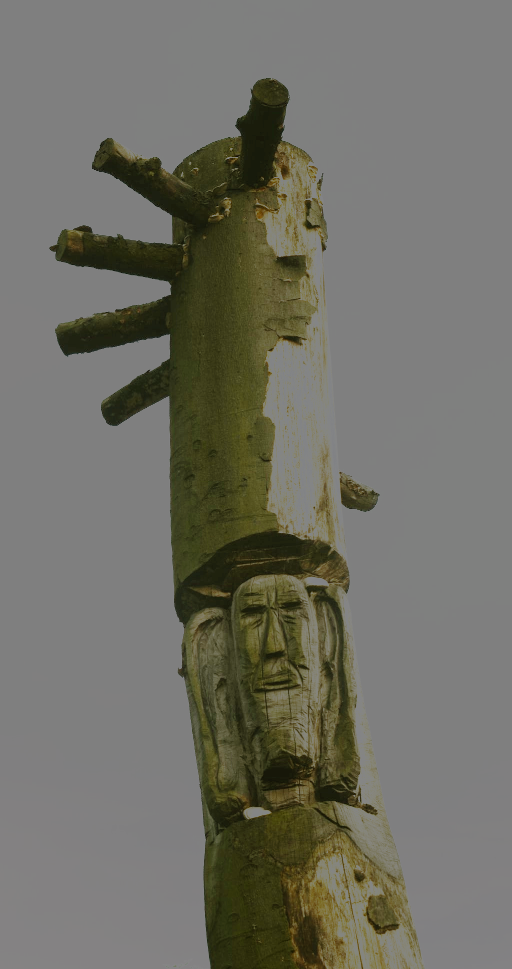 Totem 2 by flety007 on DeviantArt