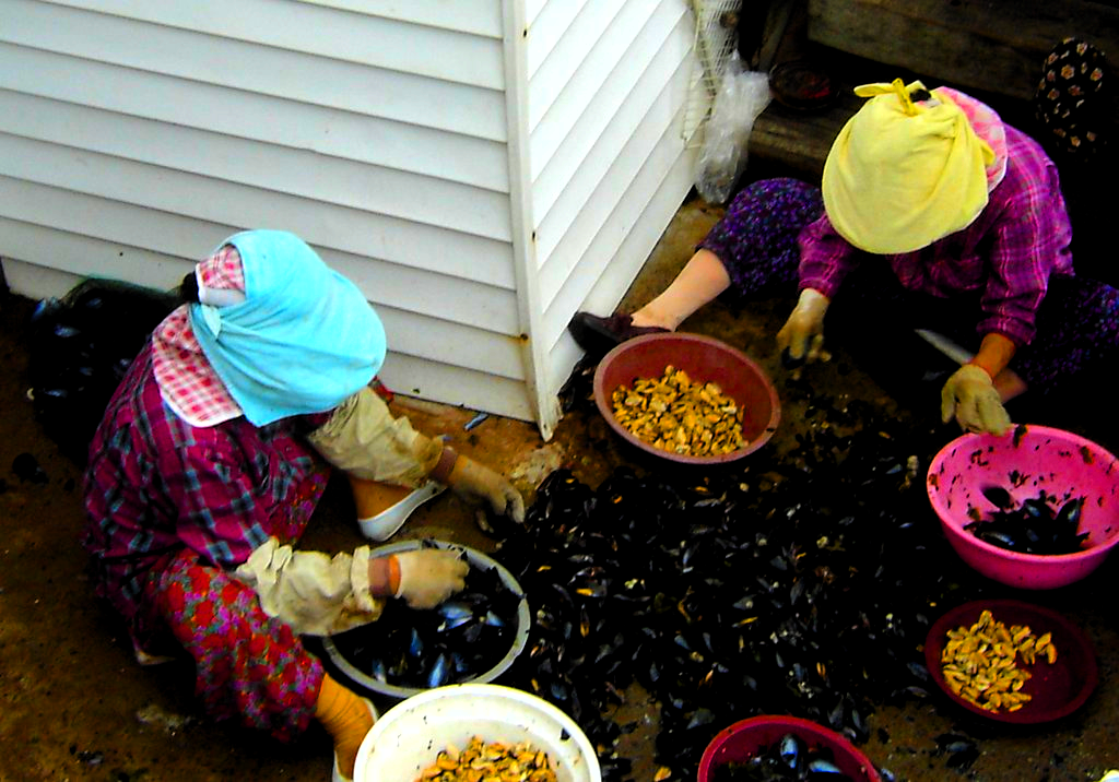 two women and a lot of mussels by flety007 on DeviantArt