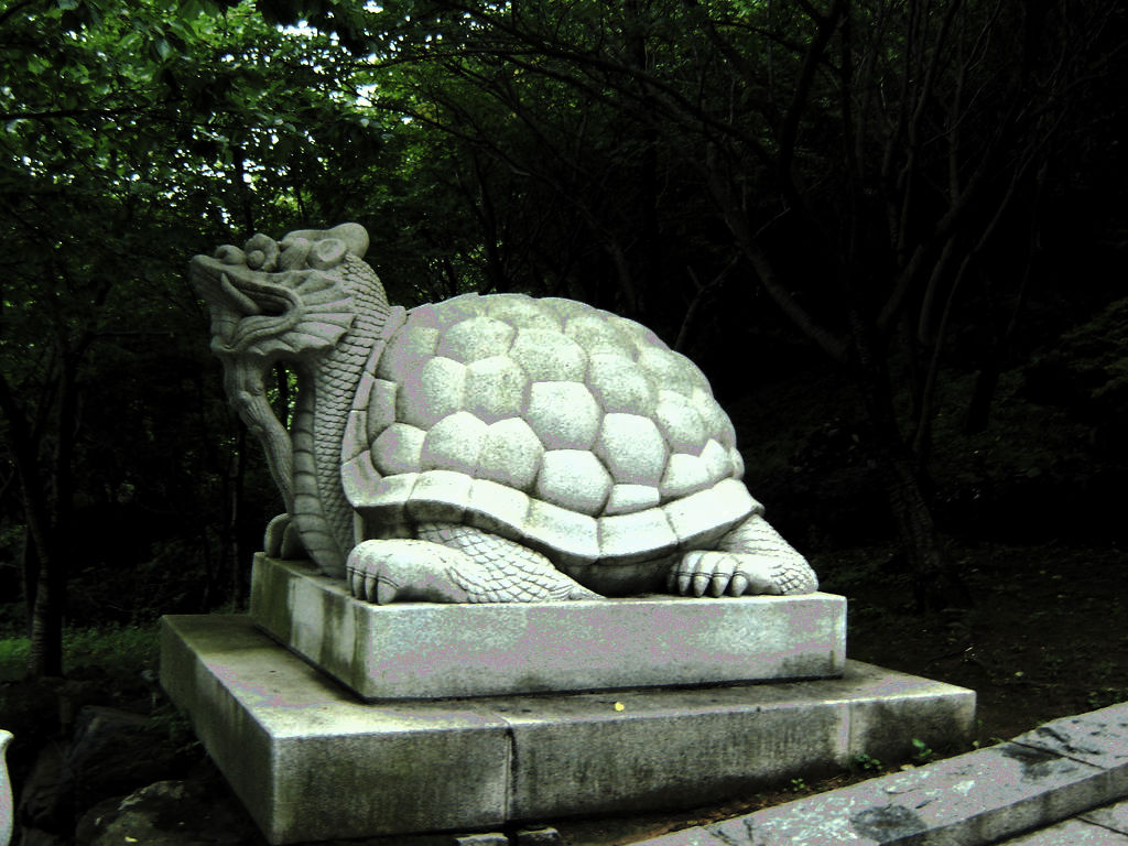 Turtle by flety007 on DeviantArt