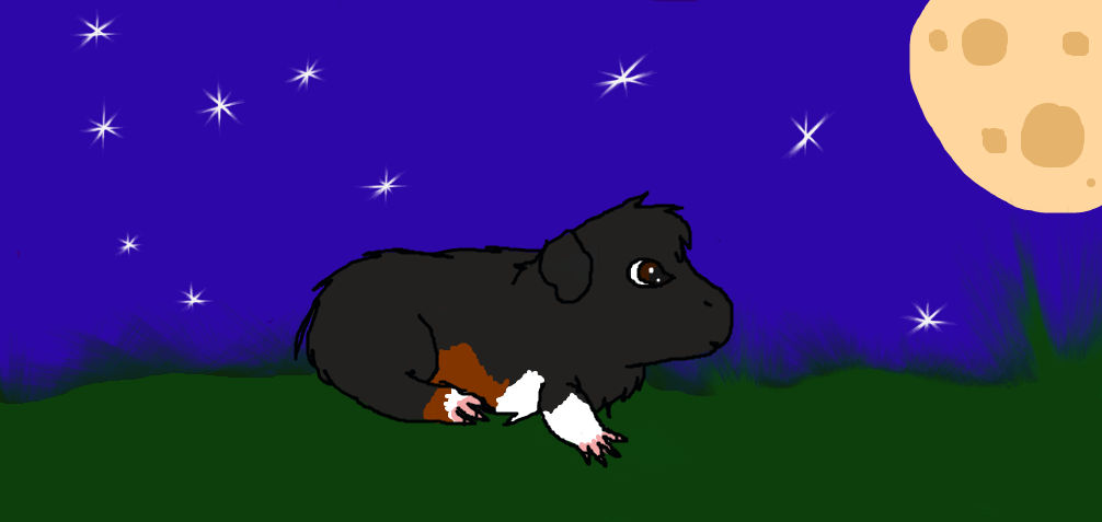 Chewy by bluedubstepwolf on DeviantArt