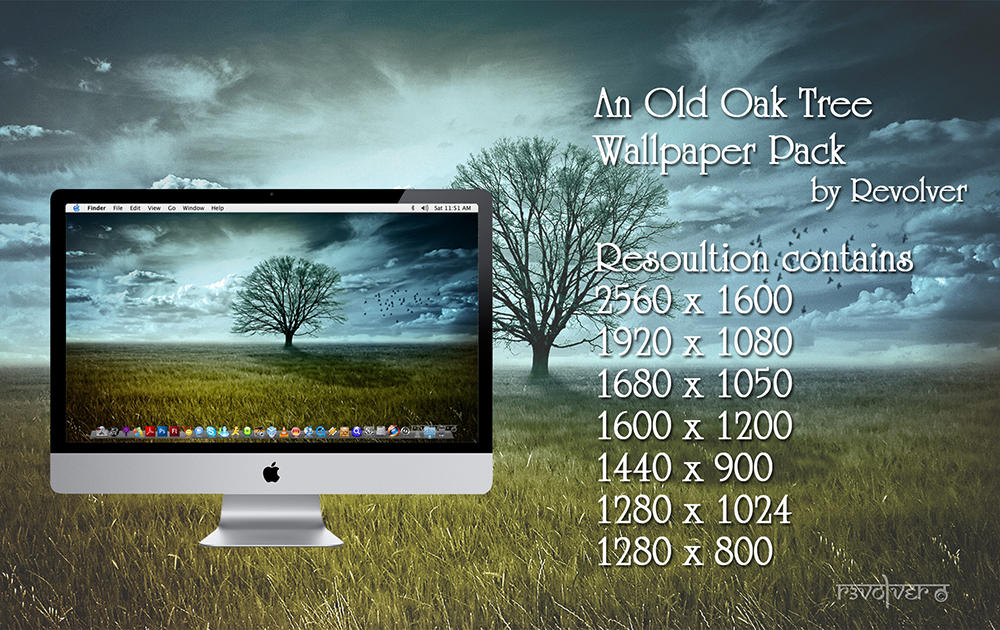 An Old Oak Tree Wallpaper Pack by revolver0067 on DeviantArt