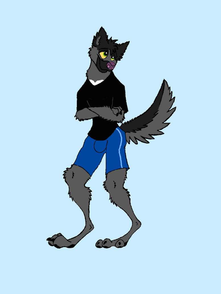wolf by garretstarfox93 on DeviantArt