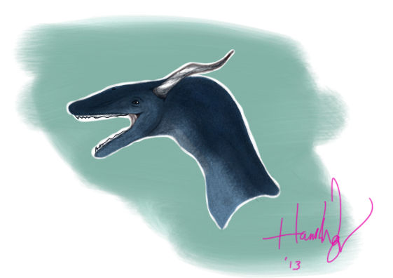 Dolphin Dragon by PrimaryD on DeviantArt