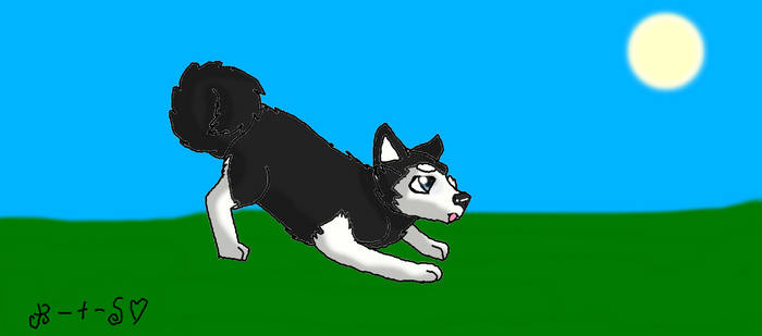wolpy-the-omega - Student, Digital Artist | DeviantArt