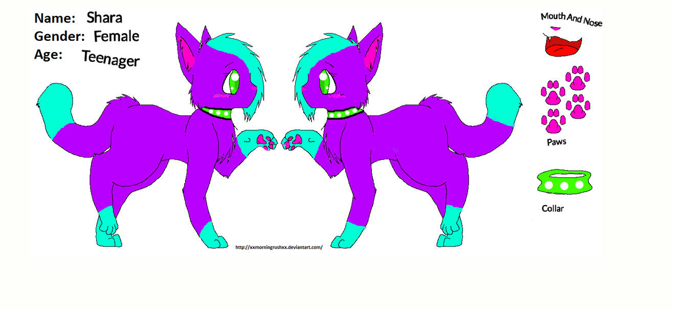 Shara Reference Sheet by SharaTheKittay on DeviantArt