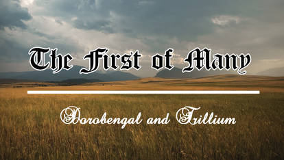 Explore the Best Kyn Art | DeviantArt