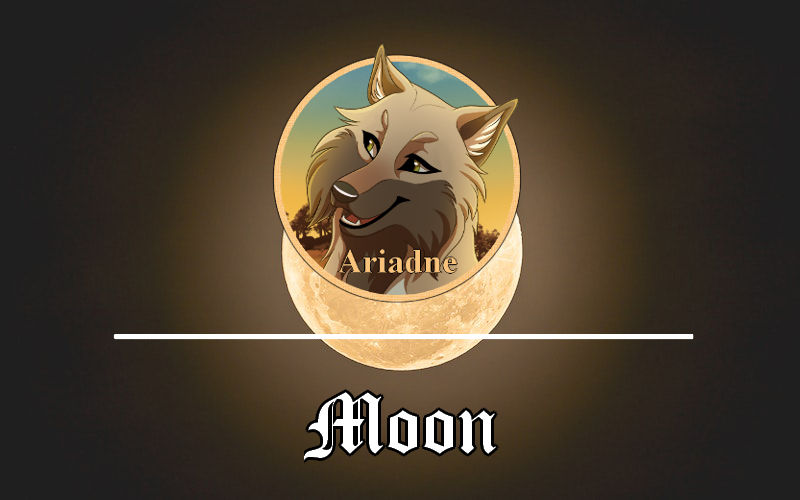DotW | Moon by 4everhound on DeviantArt