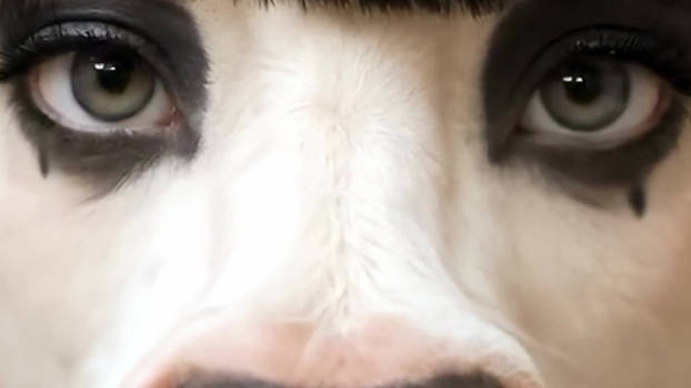 Explore the Best Anthrocow Art | DeviantArt