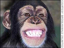 monkey poo by derrold on DeviantArt