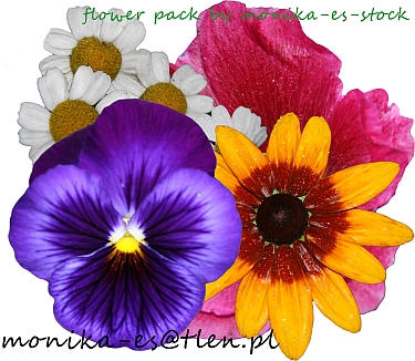 flower pack psd by monika-es-stock on DeviantArt
