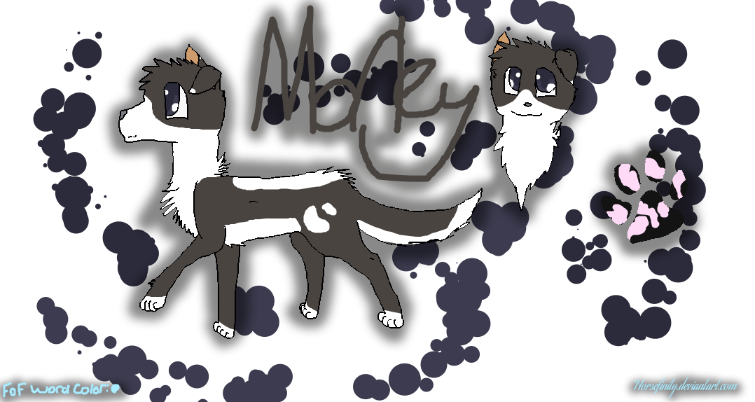 Marley Reference Sheet by Horsefinity on DeviantArt