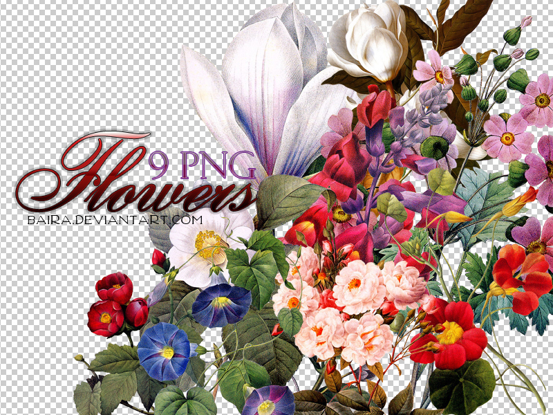 PNG Flowers by Baira on DeviantArt