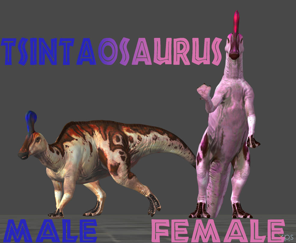 Tsintaosaurus (Evolution) by SpinosKingdom875 on DeviantArt