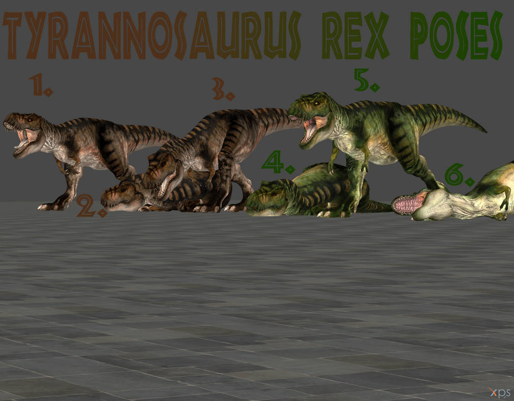 Tyrannosaurus Rex Poses (Evolution) by SpinosKingdom875 on DeviantArt