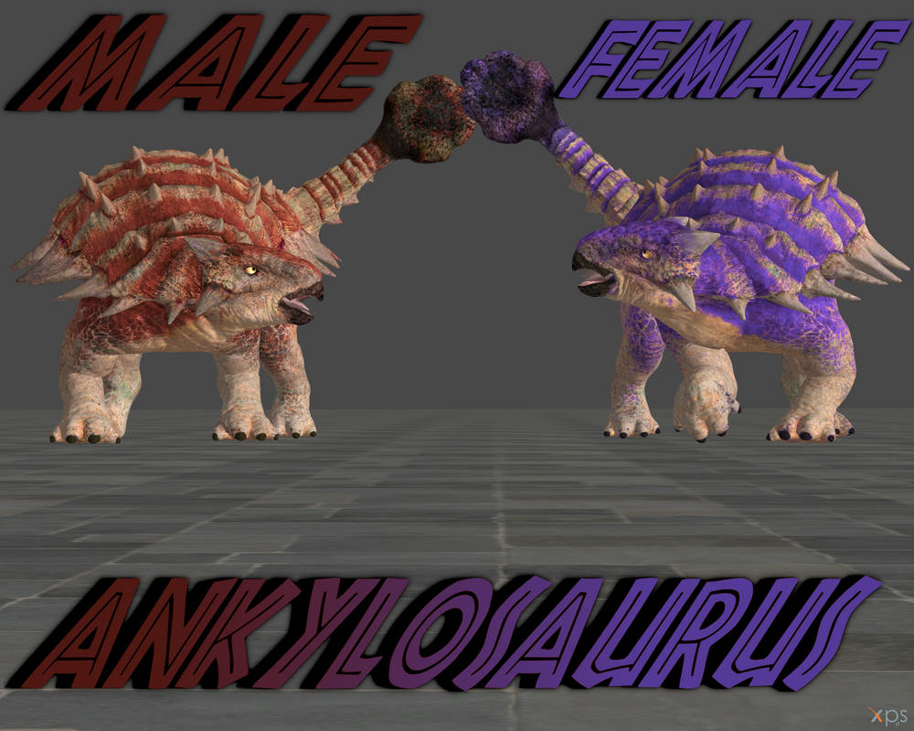 evolution ankylosaurus