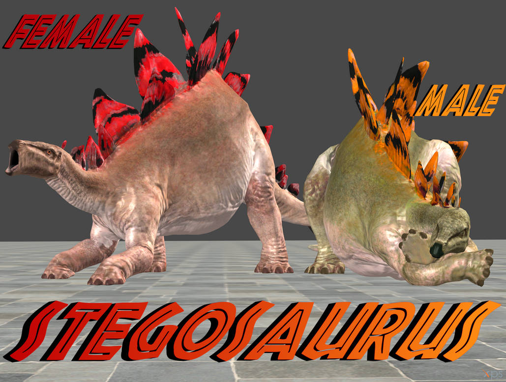 Stegosaurus (Evolution) by SpinosKingdom875 on DeviantArt